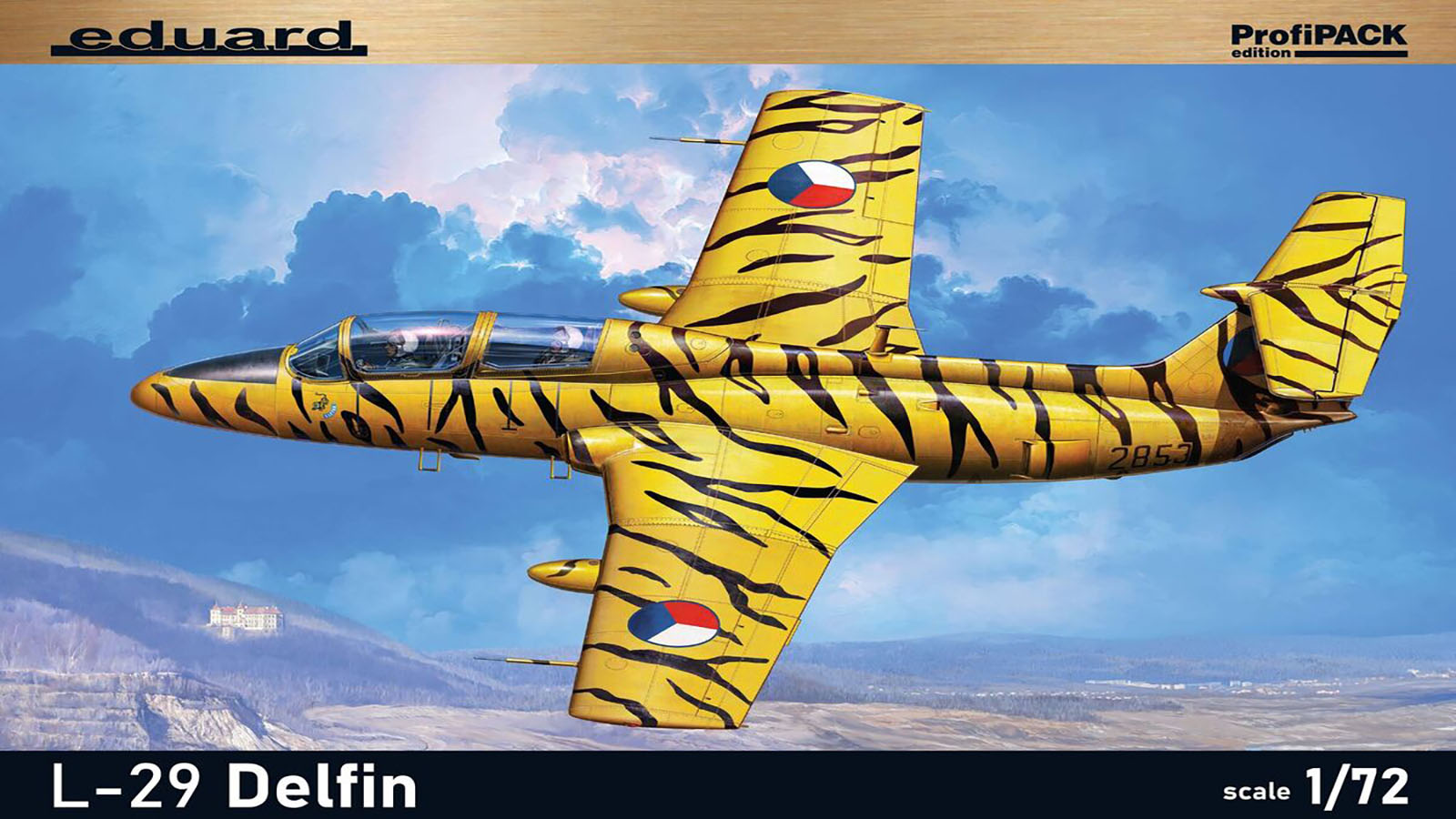 L-29 Delfin